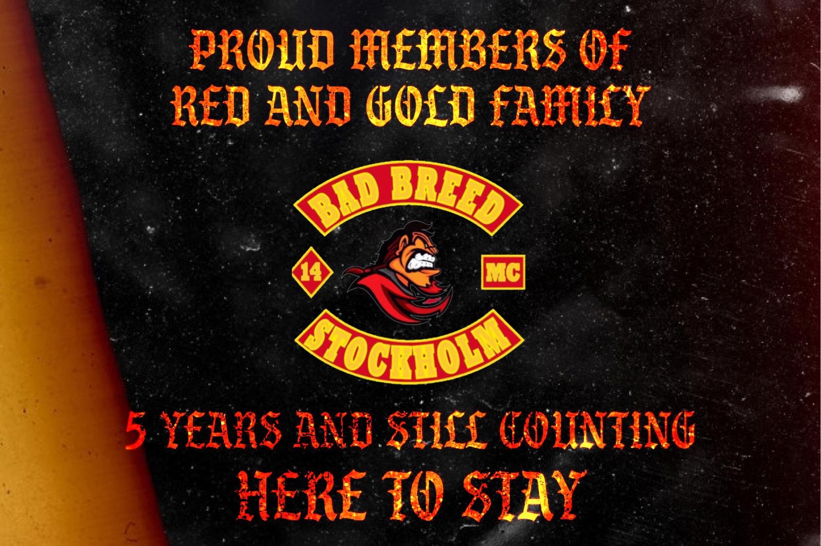 BAD BREED MC 5 YEARS AS RED AND GOLD 💛 – Red and Gold Family