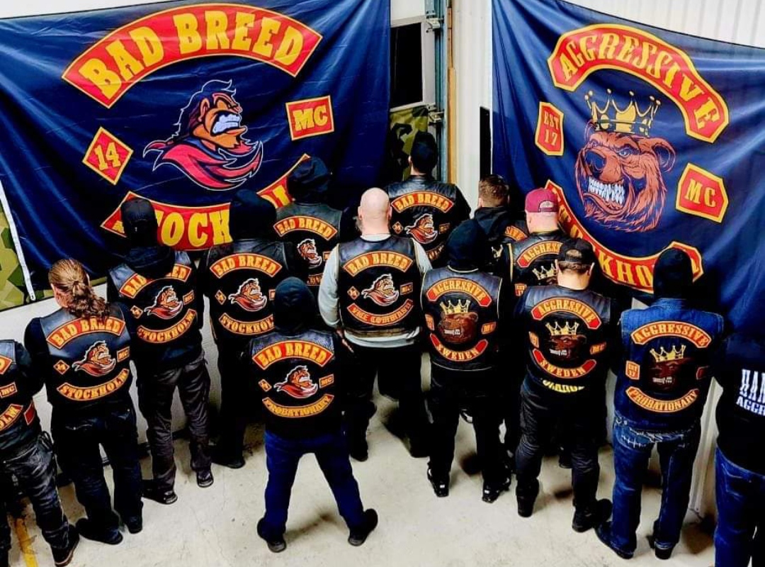 BAD BREED MC STOCKHOLM & AGGRESSIVE MC STOCKHOLM – Red and Gold Family