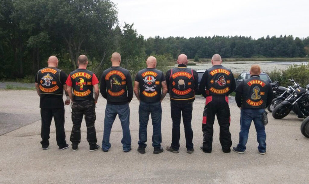 RGF – Red and Gold Family